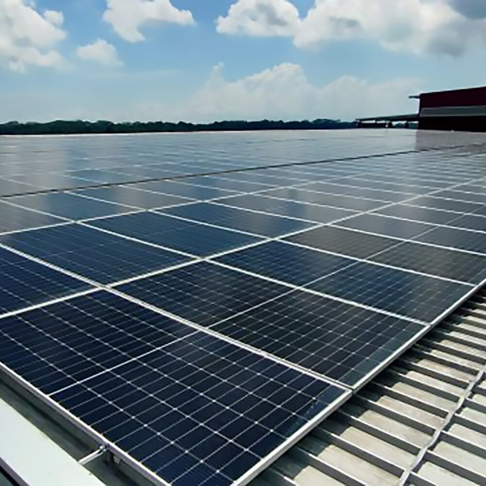 Overground (OG) Power Distribution Boards – E-Technik Synergie Pte Ltd